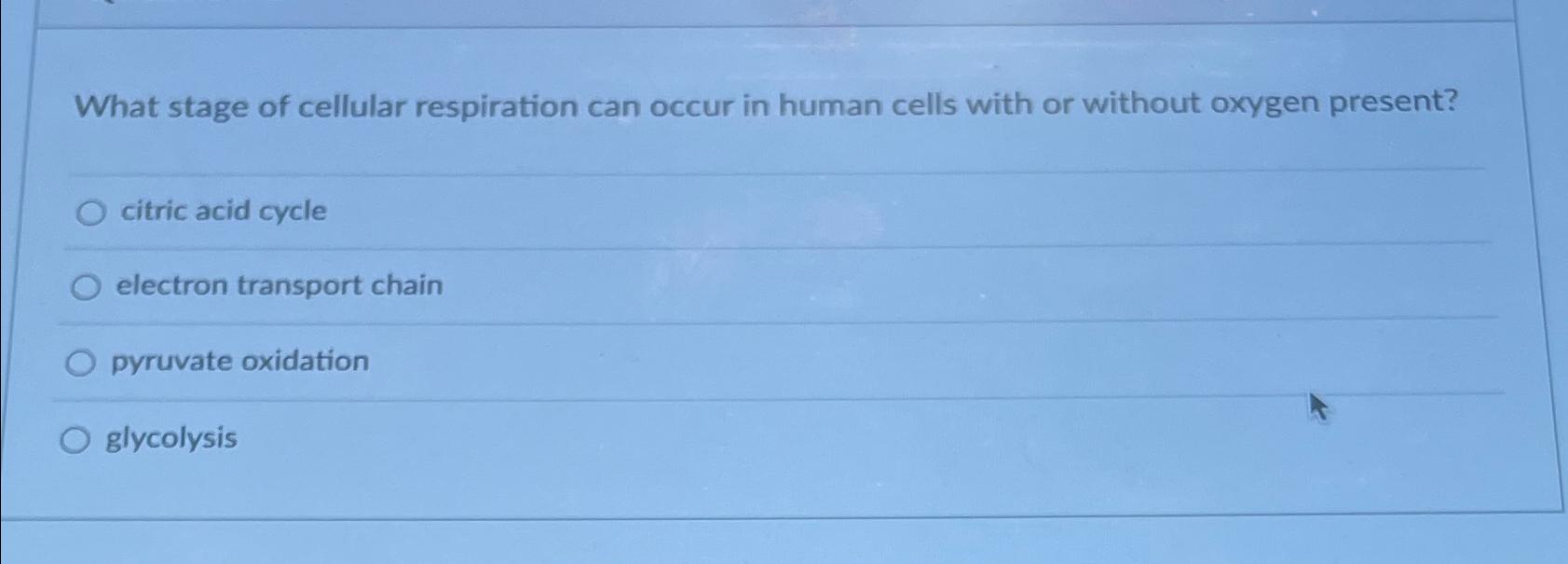 Solved What stage of cellular respiration can occur in human | Chegg.com