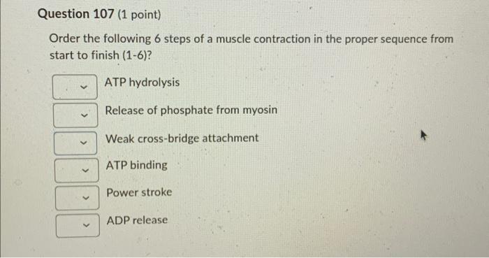 Order the following 6 steps of a muscle contraction | Chegg.com
