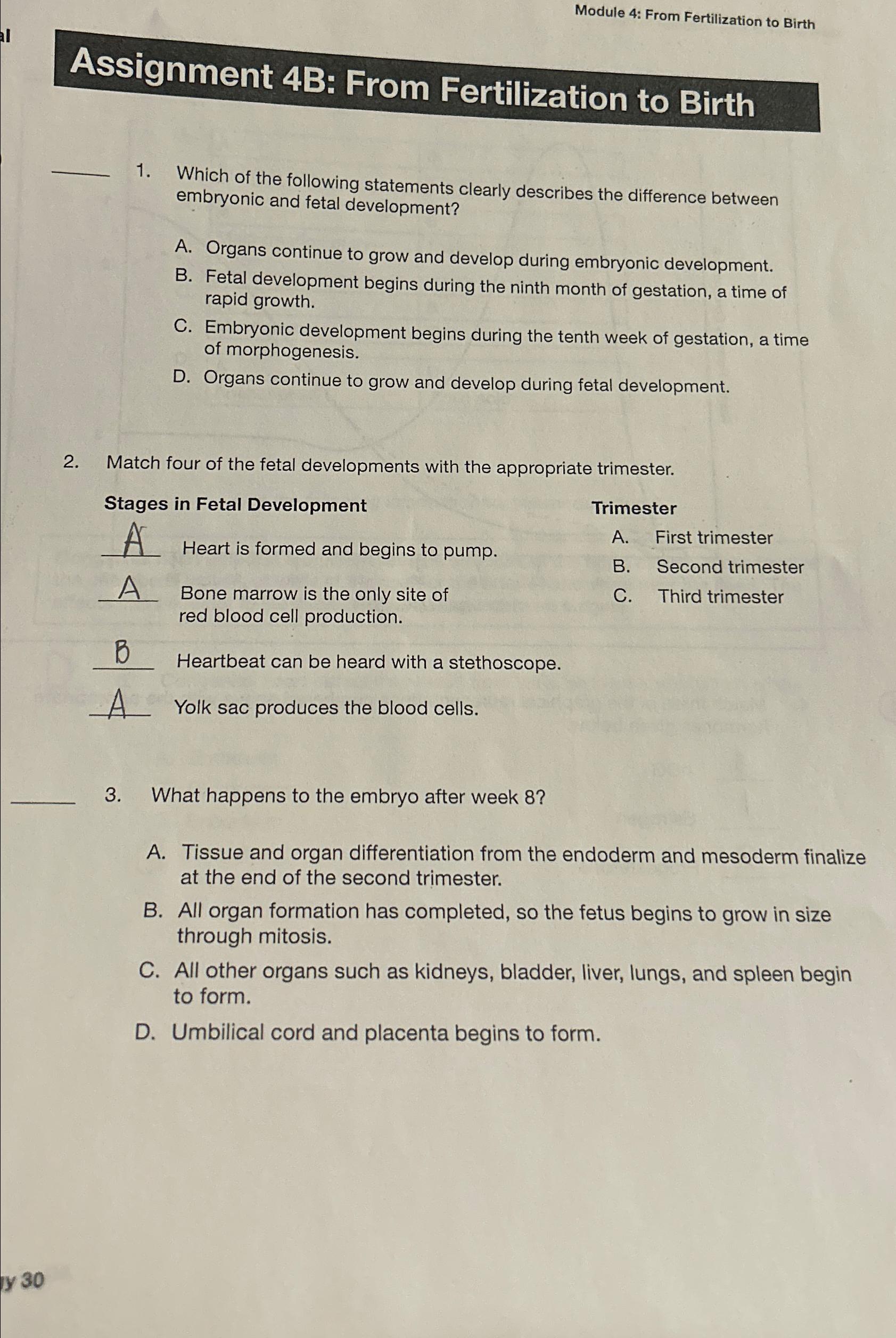 Solved Module 4: From Fertilization to BirthAssignment 4B: | Chegg.com