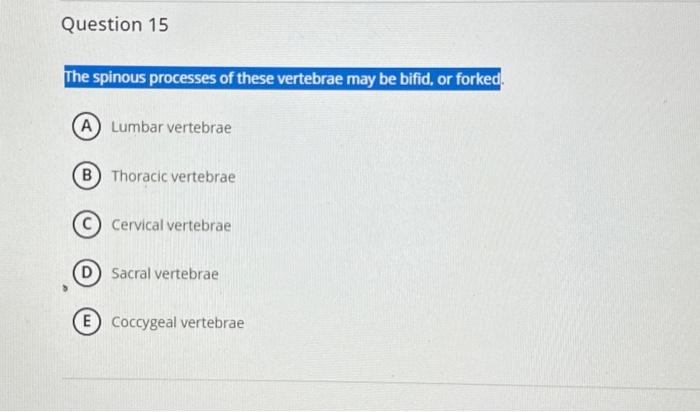 Solved J SHE 8 The spinous processes of these vertebrae may | Chegg.com