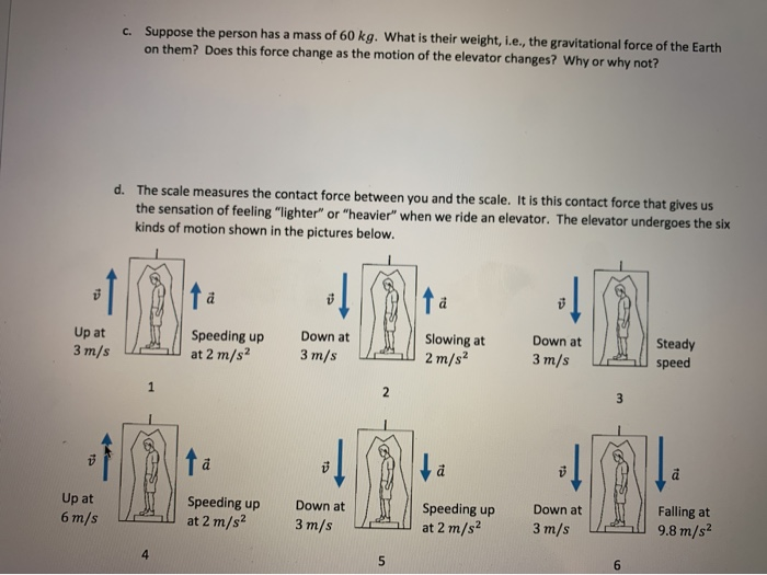 Solved 2. Suppose a person stands on a scale in an elevator | Chegg.com