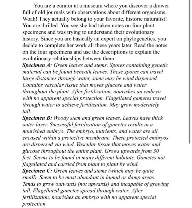 Solved You are a curator at a museum where you discover a | Chegg.com