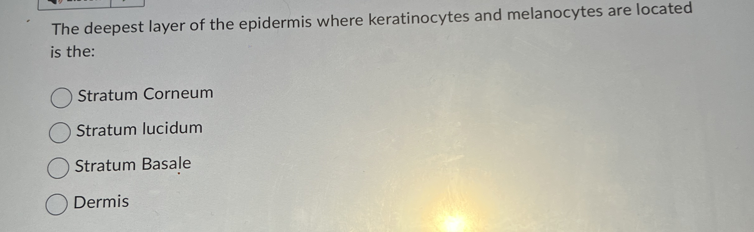 Solved The deepest layer of the epidermis where | Chegg.com