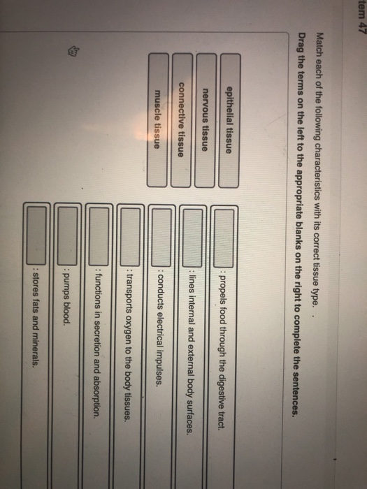 Solved tem 47 Match each of the following characteristics | Chegg.com