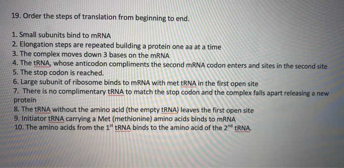 Solved 19. Order the steps of translation from beginning to | Chegg.com