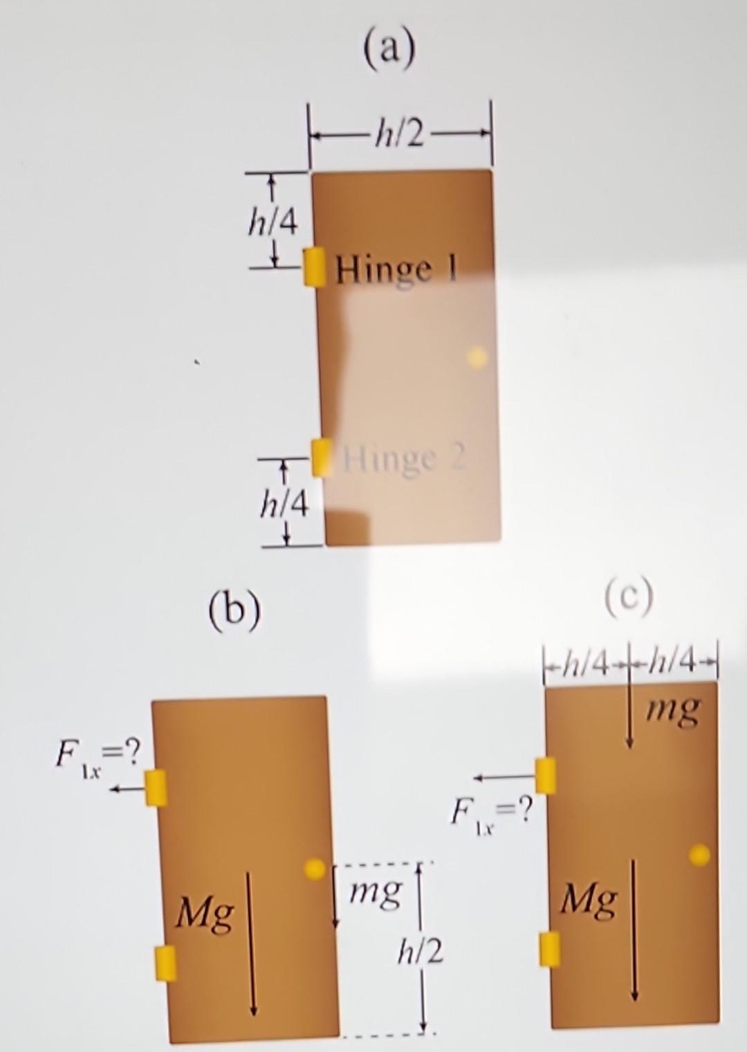 Solved (8%) Problem 10: It is common to hang objects on | Chegg.com