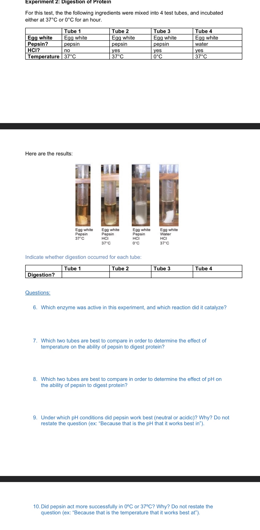 Solved Experiment 2: Digestion of ProteinFor this test, the | Chegg.com