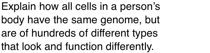 Solved Explain how all cells in a person's body have the | Chegg.com
