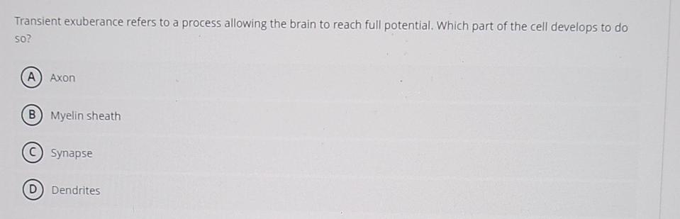 Solved Transient exuberance refers to a process allowing the | Chegg.com