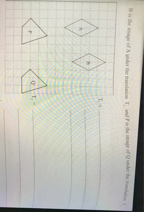 Solved B is the image of A under the translation T, and P is | Chegg.com
