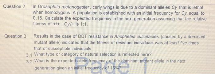 Solved Question 2 In Drosophila melanogaster, curly wings is | Chegg.com