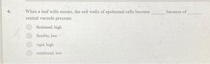 Solved PARTIAL Word Bank for the next question. Not all | Chegg.com