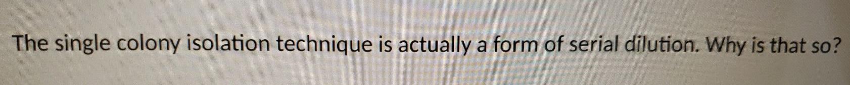 Solved The single colony isolation technique is actually a | Chegg.com