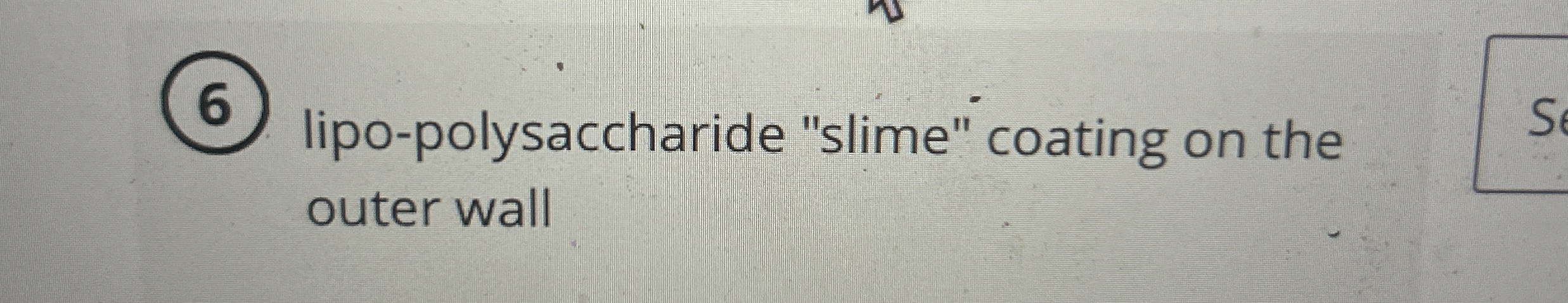Solved 6 ﻿lipo-polysaccharide "slime" coating on theouter | Chegg.com