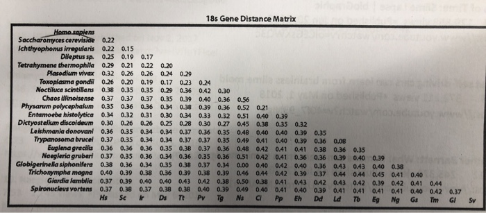 18 Gene Distance Matrix Moma splens Saccharomyces | Chegg.com