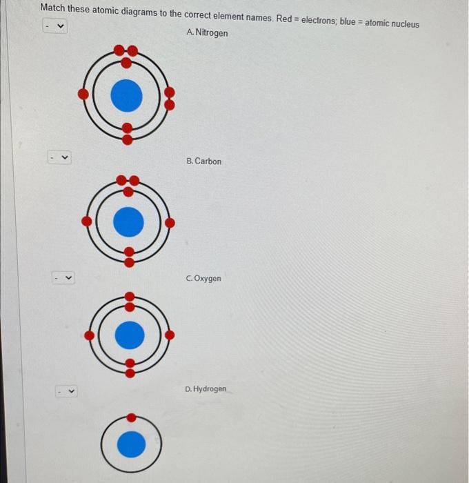 Solved Match these atomic diagrams to the correct element | Chegg.com