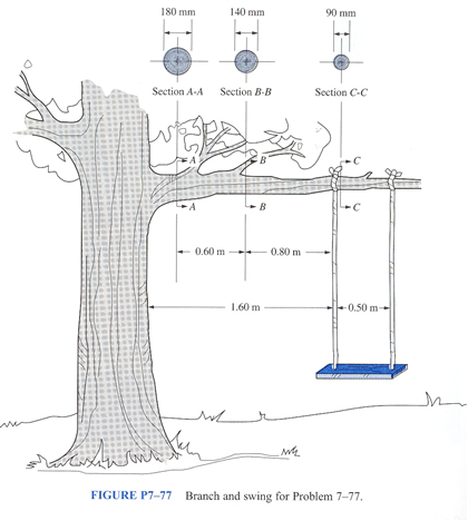 a branch of a tree has the approximate dimensions | Chegg.com