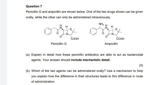 Solved Question 7 Penicillin G and ampicillin are shown | Chegg.com