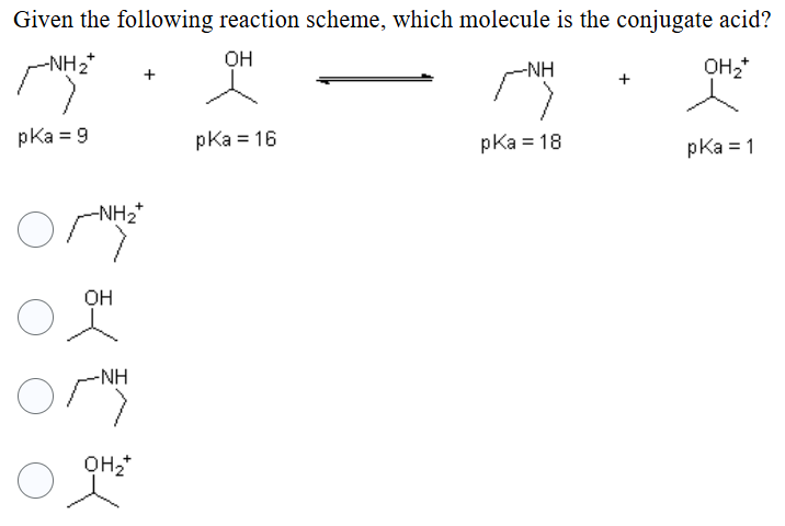 Solved Given the following reaction scheme, which molecule | Chegg.com