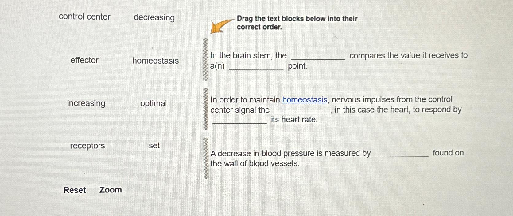 Solved control center decreasingeffector homeostasis | Chegg.com