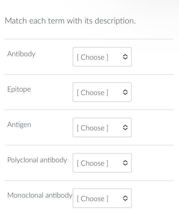 Solved Match each term with its description. Antibody | Chegg.com