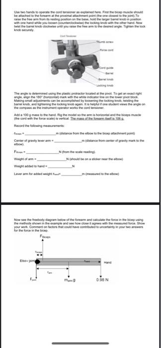 PHYS 114 Torque and the Human Arm Lab Lat-specific | Chegg.com
