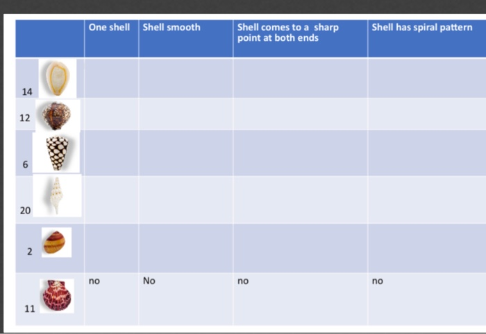 Solved Sorting Shells Cladistics and The character states On | Chegg.com