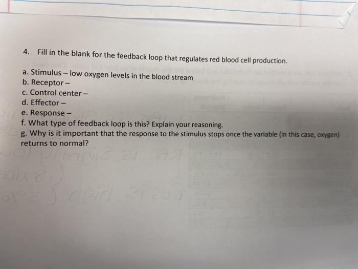 Solved Fill in the blank for the feedback loop that | Chegg.com