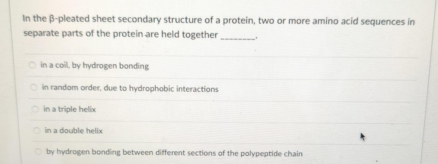 Solved In the β-pleated sheet secondary structure of a | Chegg.com