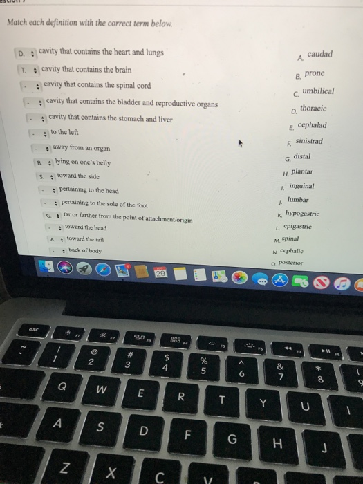 Solved Match each definition with the correct term below. A | Chegg.com