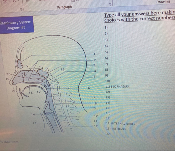 Solved Paragraph Type all your answer the correct numbers | Chegg.com
