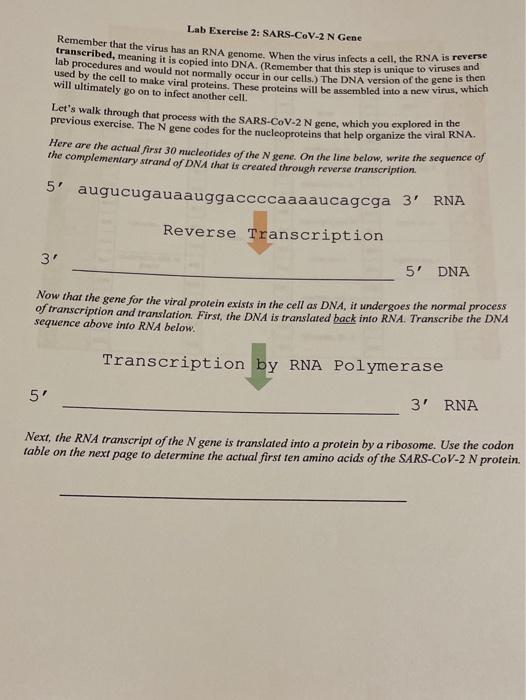 Solved Lab Exercise 2: SARS-CoV-2 N Gene Remember that the | Chegg.com