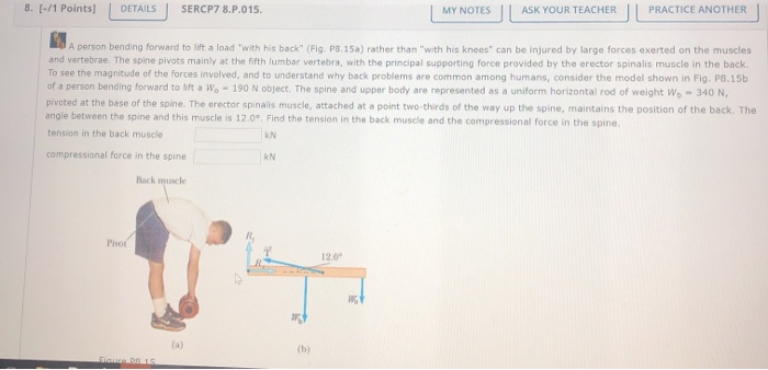 Solved A person bending forward to lift a load "with his | Chegg.com