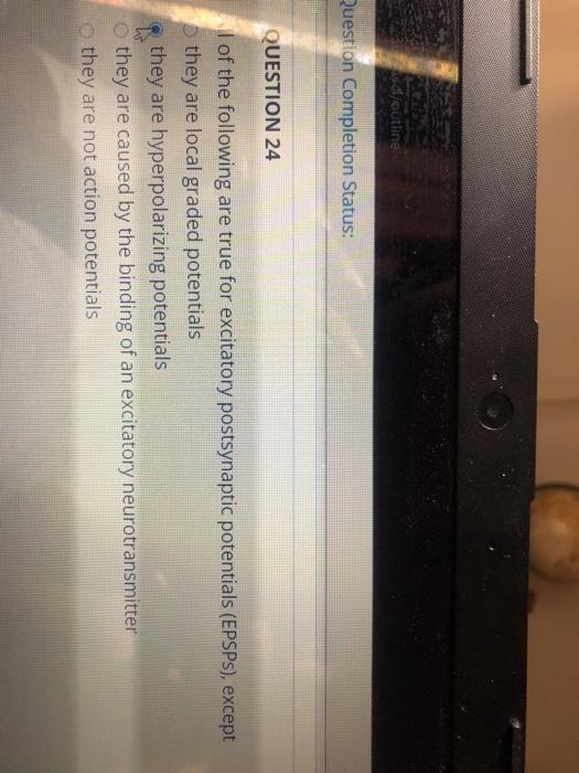 Solved Question Completion Status: QUESTION 21 The absolute | Chegg.com