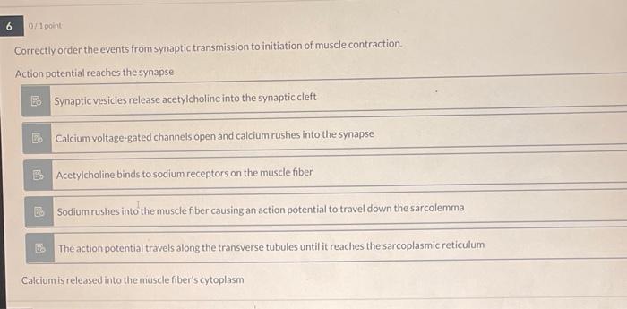 Solved Correctly order the events from synaptic transmission | Chegg.com