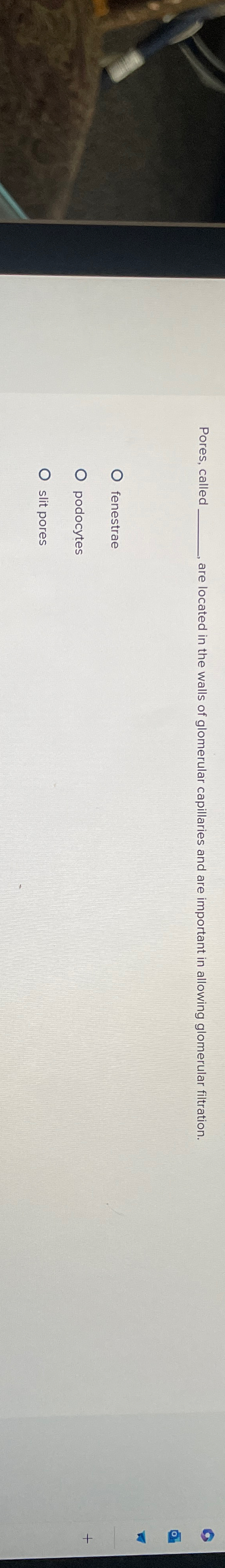 Solved Pores, called q, ﻿are located in the walls of | Chegg.com