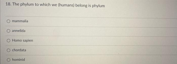 Solved 18. The phylum to which we (humans) belong is phylum | Chegg.com