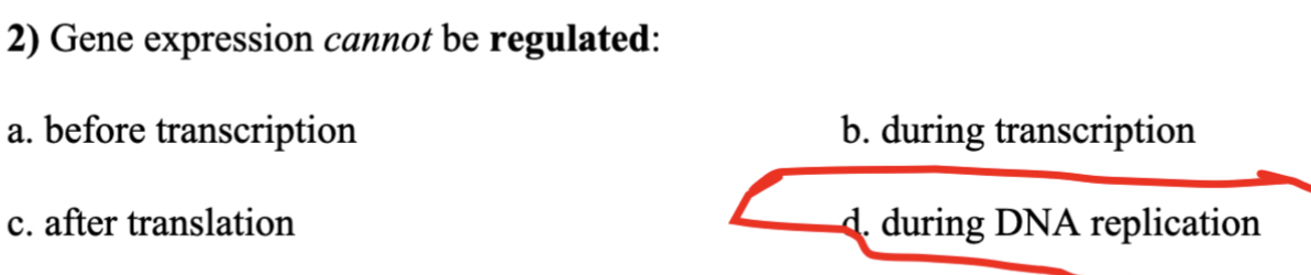 Solved Gene expression cannot be regulated:a. ﻿before | Chegg.com