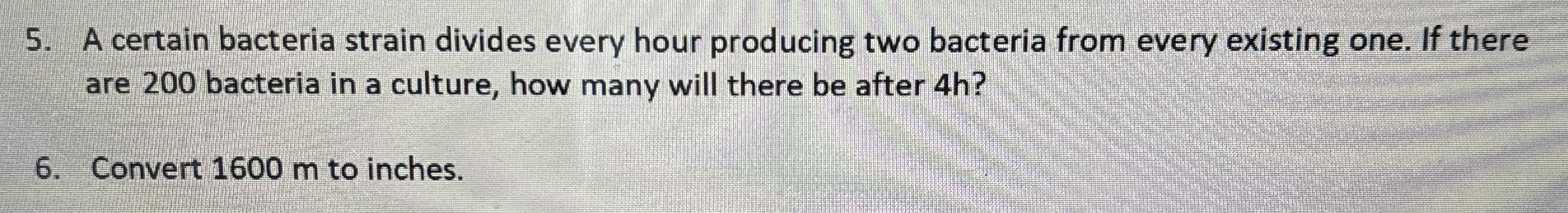 Solved A certain bacteria strain divides every hour | Chegg.com