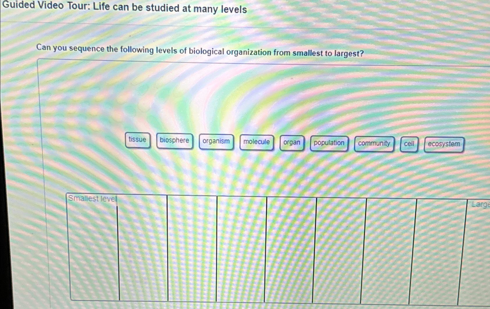 Solved Guided Video Tour: Life can be studied at many | Chegg.com