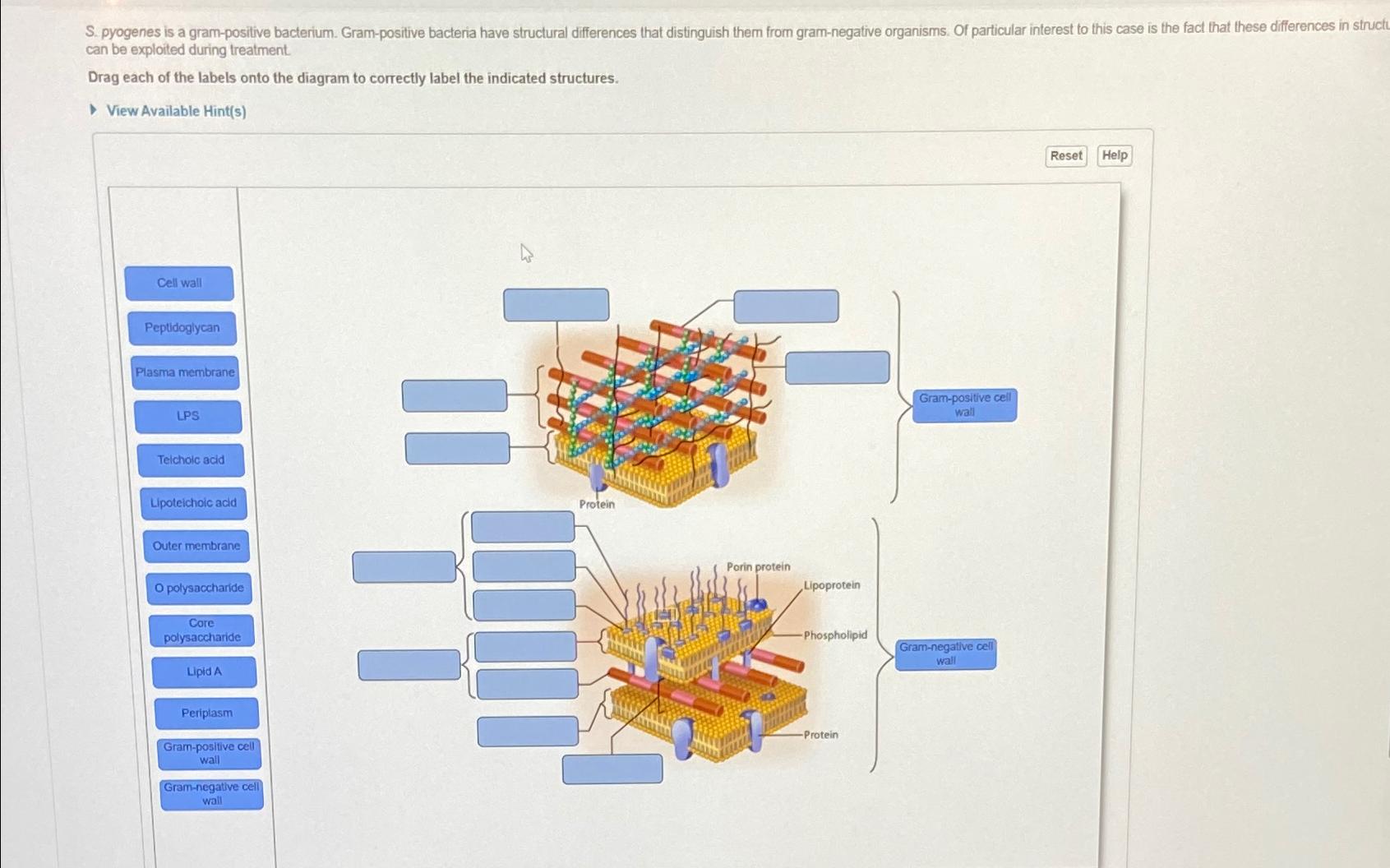 Solved can be exploited during treatment.Drag each of the | Chegg.com