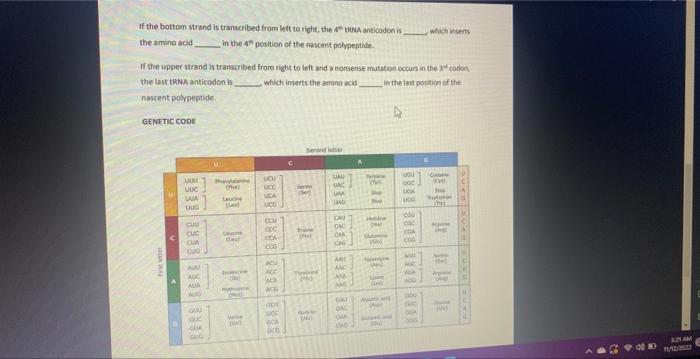 Solved If the bottom strand is transcribed from left to | Chegg.com Solved If the bottom strand is transcribed from left to | Chegg.com