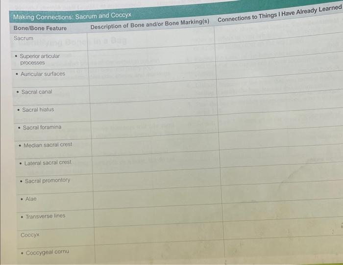 Solved Making Connections: Sacrum and Coccyx Bone/Bone | Chegg.com