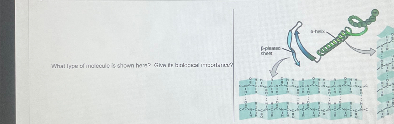Solved What type of molecule is shown here? Give its | Chegg.com