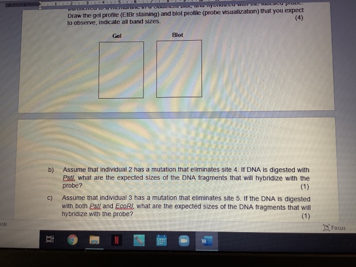 Solved 10 6. The figure below shows a restriction map of a | Chegg.com