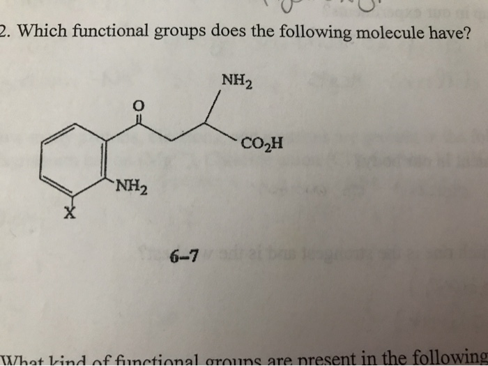 Solved 2. Which functional groups does the following | Chegg.com