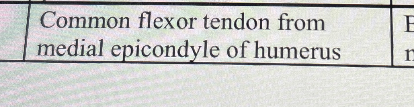 Solved Common flexor tendon frommedial epicondyle of humerus | Chegg.com