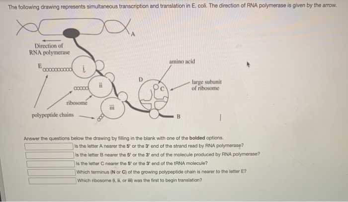 Solved The following drawing represents simultaneous | Chegg.com
