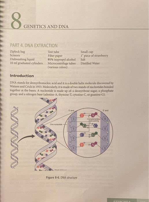 Solved 8. GENETICS AND DNA Small cup PART 4. DNA EXTRACTION | Chegg.com