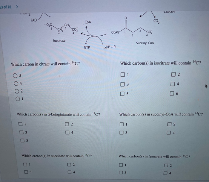 Solved The citric acid cycle is shown. The carbonyl carbon | Chegg.com